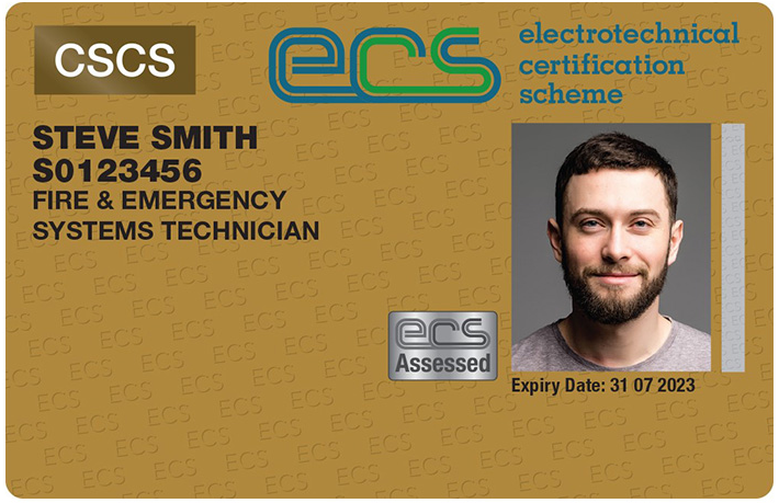 FESS announces new Occupational Qualification Structure to raise skill ...